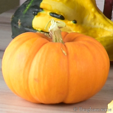 Celebrate Carignan Day 2022 with a Bingham Estate Wine